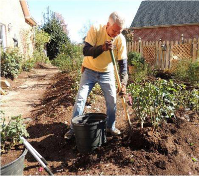Transplanting and Moving Rose Bushes – Nashville Rose Society