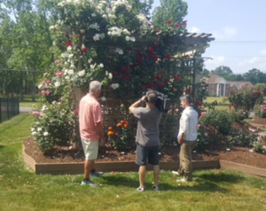 Nashville Rose Society – The Nashville Rose Society serves all of ...