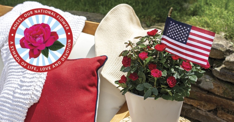 Nashville Rose Society – The Nashville Rose Society serves all of ...