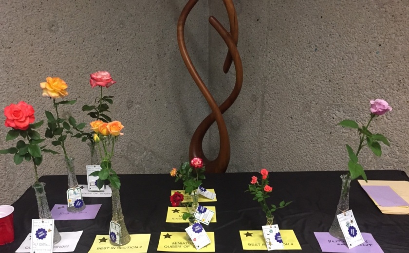 Nashville Rose Society – The Nashville Rose Society serves all of ...