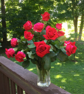 YOU Can Grow Roses: Eleven Steps to Growing Good Roses – Nashville Rose ...